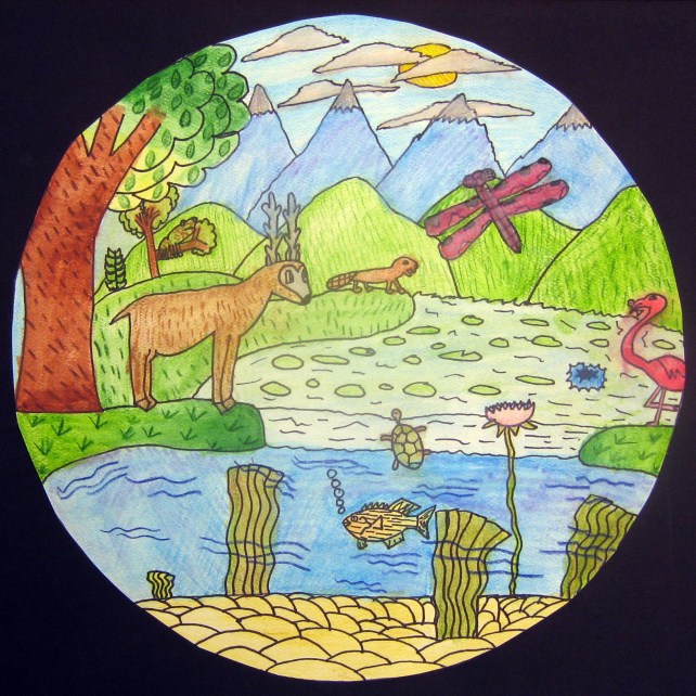 Biome Illustrations | Ms. Amsler's Artroom