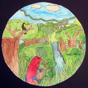 Biome Illustrations | Ms. Amsler's Artroom