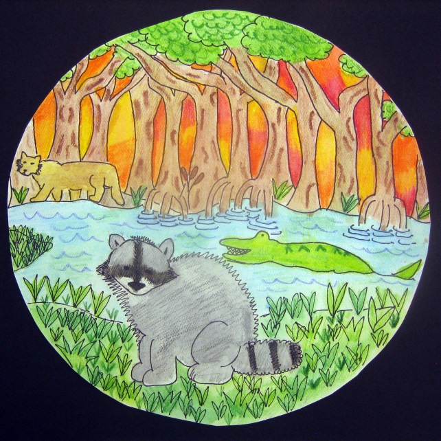 Biome Illustrations | Ms. Amsler's Artroom