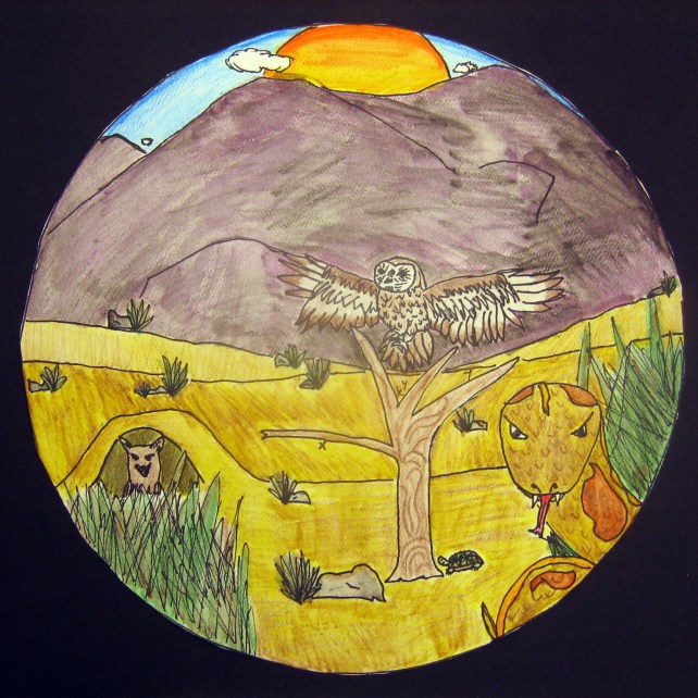 Biome Illustrations | Ms. Amsler's Artroom