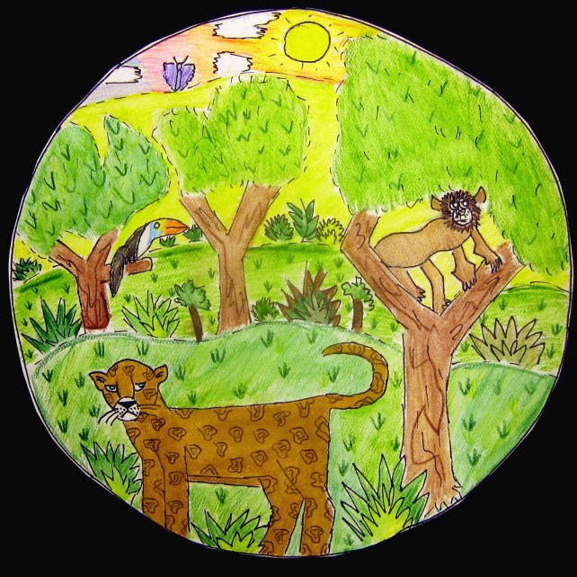 Biome Illustrations | Ms. Amsler's Artroom