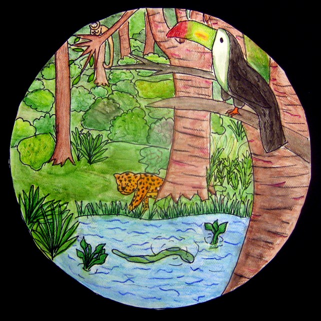 Biome Illustrations | Ms. Amsler's Artroom