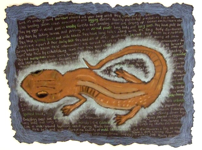 Endangered Species Drawings | Ms. Amsler's Artroom