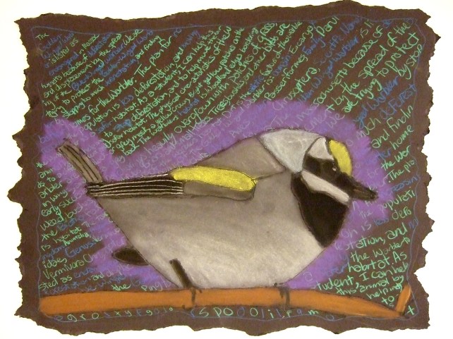 Endangered Species Drawings | Ms. Amsler's Artroom
