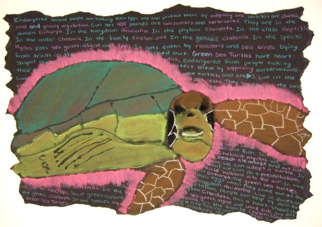 Endangered Species Drawings | Ms. Amsler's Artroom