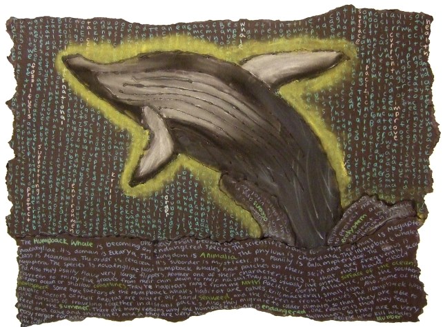 Endangered Species Drawings | Ms. Amsler's Artroom