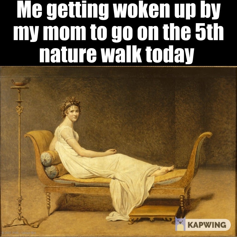 P6 ella R meme | Ms. Amsler's Artroom