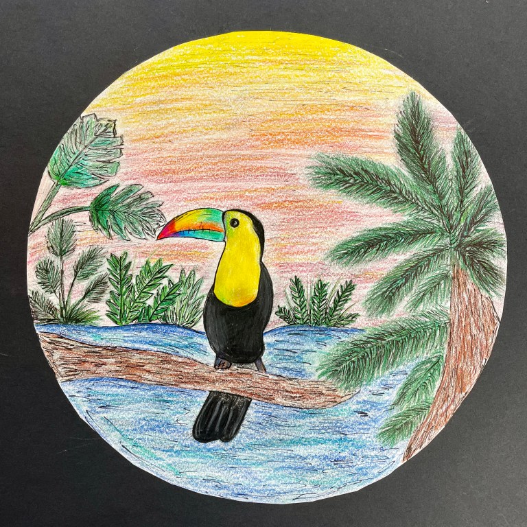 Interdisciplinary Endangered Species Drawings | Ms. Amsler's Artroom