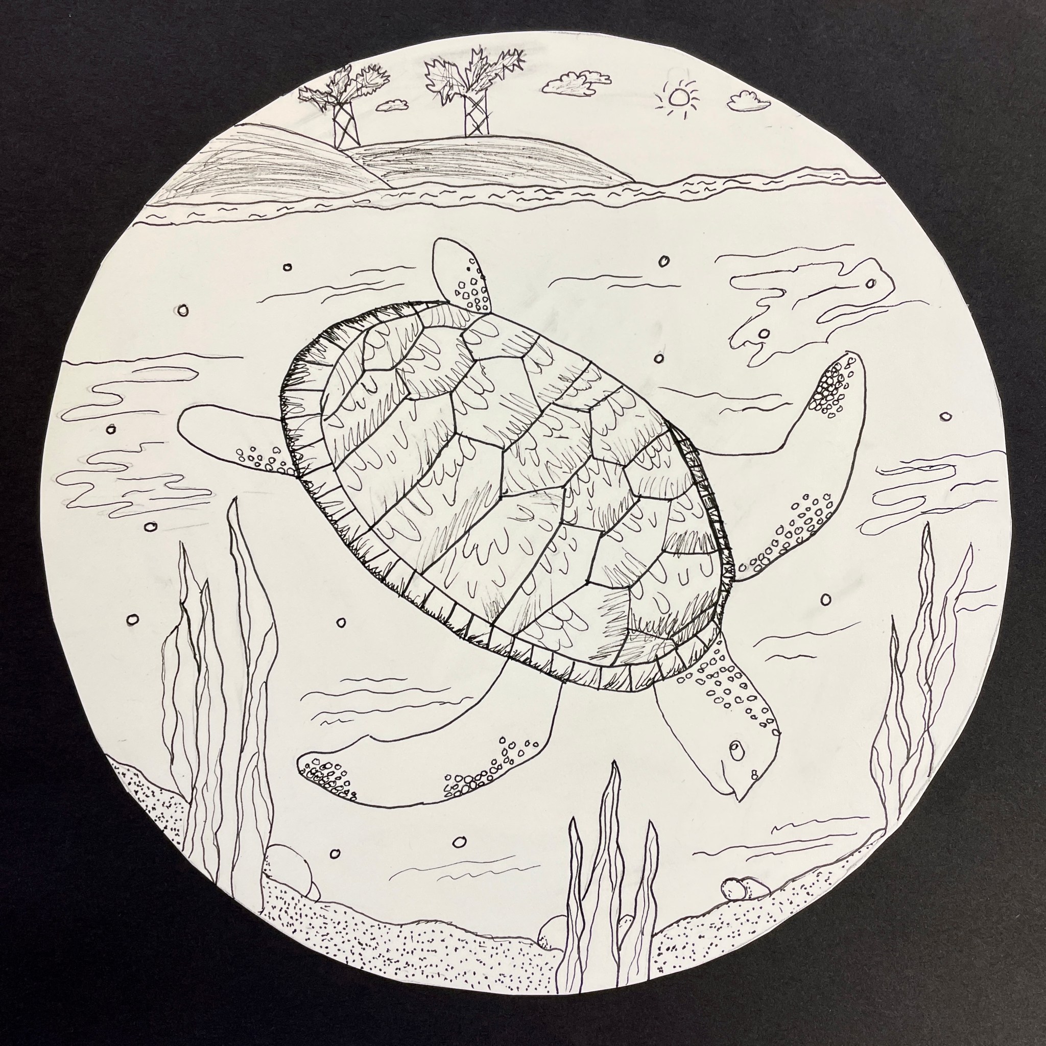 Interdisciplinary Endangered Species Drawings | Ms. Amsler's Artroom