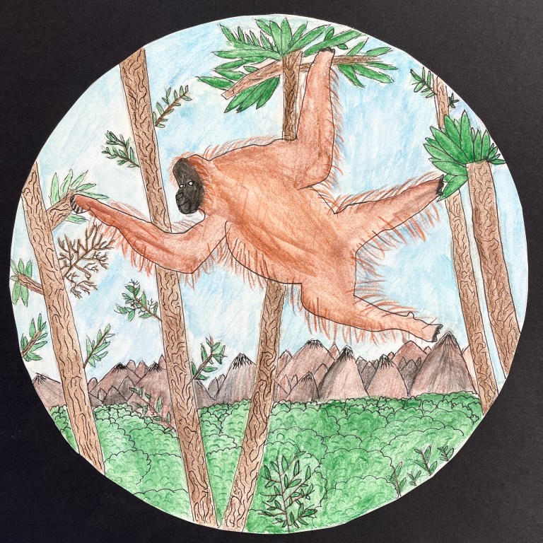 Interdisciplinary Endangered Species Drawings | Ms. Amsler's Artroom