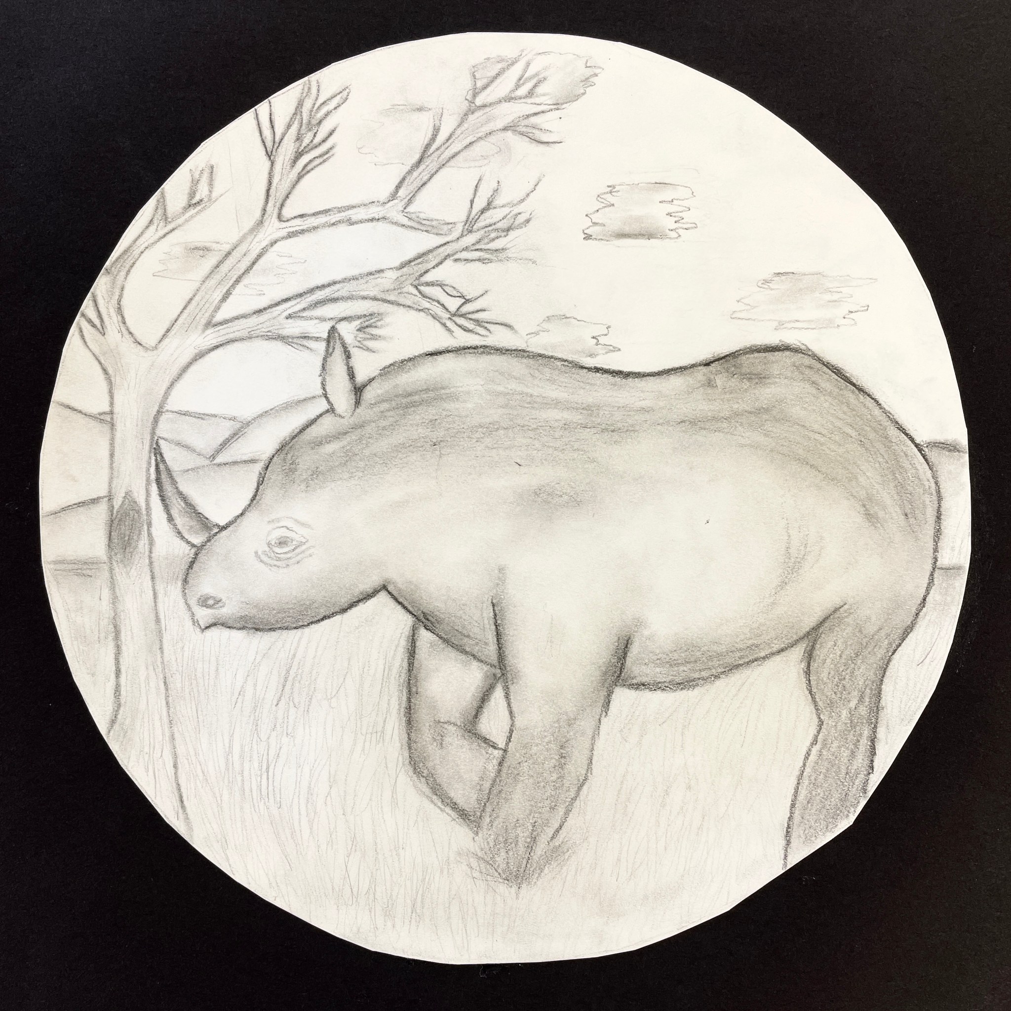 Interdisciplinary Endangered Species Drawings | Ms. Amsler's Artroom