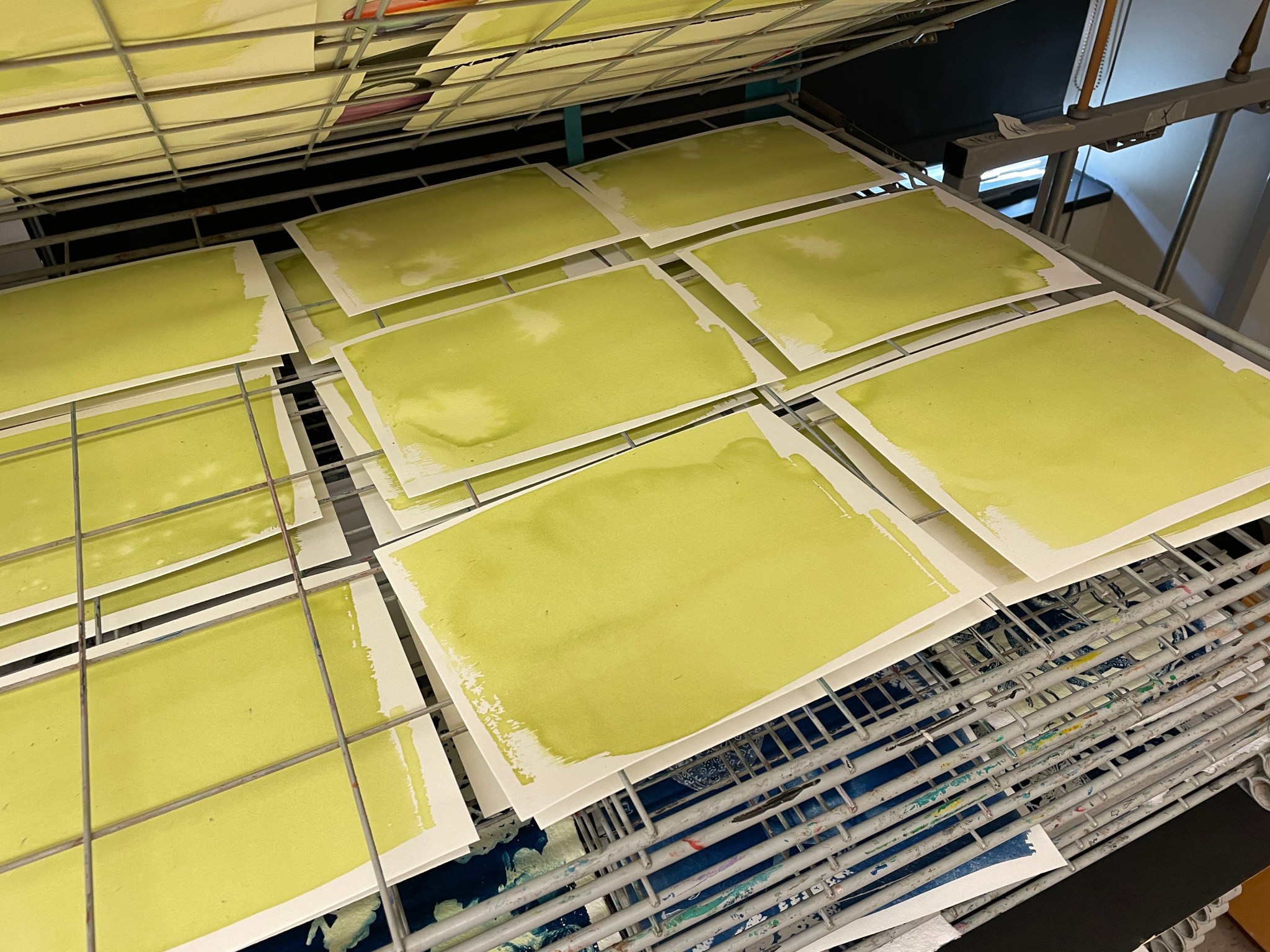 Cyanotype “Sun Prints” | Ms. Amsler's Artroom