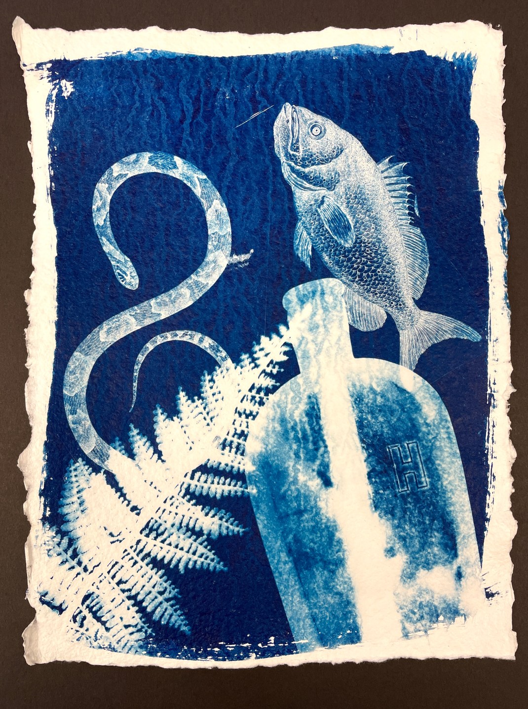 Cyanotype “Sun Prints” | Ms. Amsler's Artroom