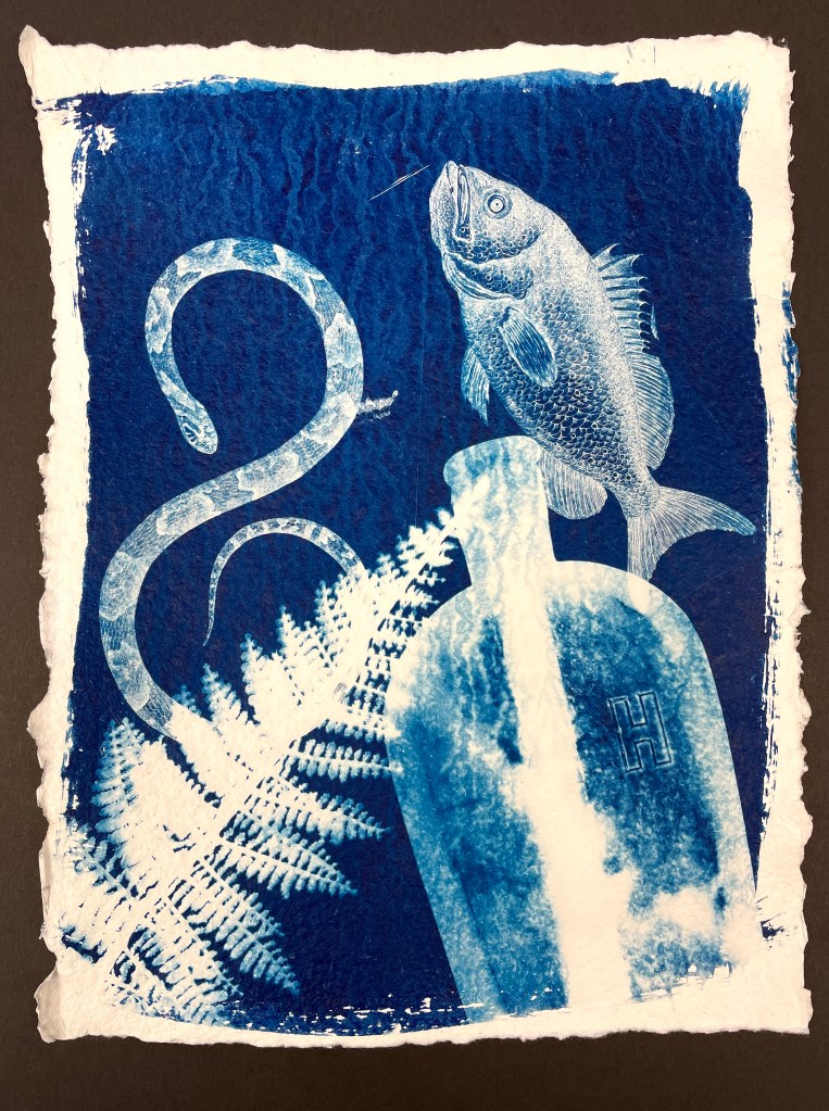 Cyanotype “Sun Prints” | Ms. Amsler's Artroom