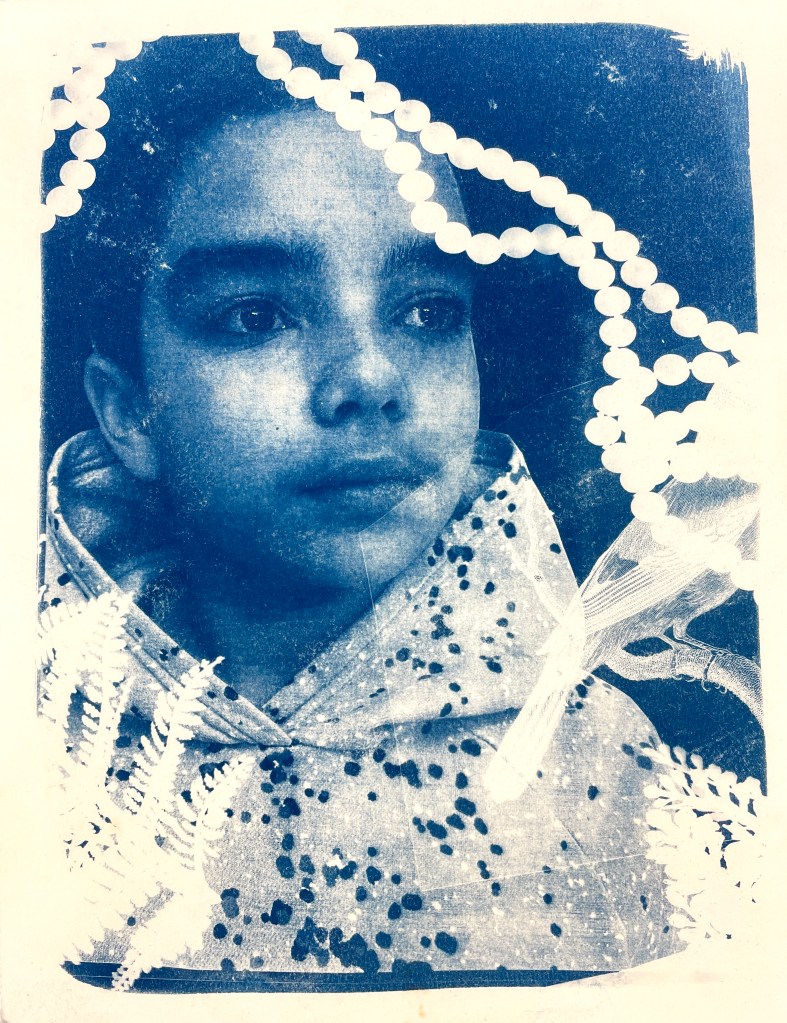 Cyanotype “Sun Prints” | Ms. Amsler's Artroom