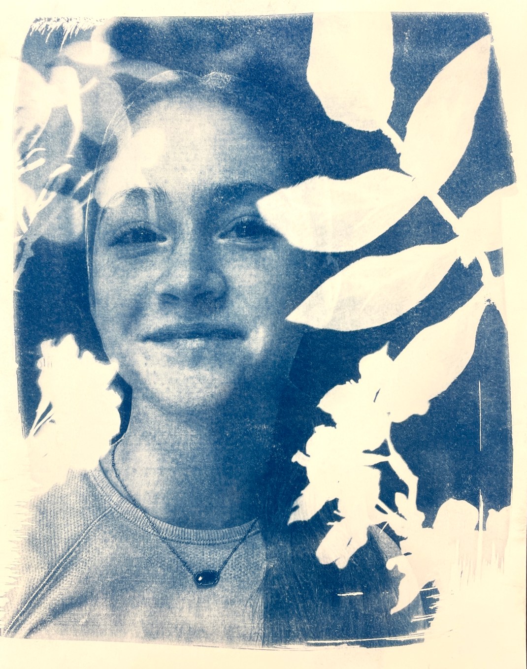 Cyanotype “Sun Prints” | Ms. Amsler's Artroom