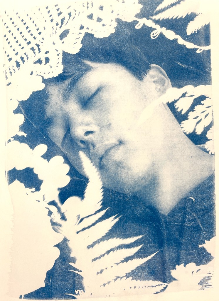 Cyanotype “Sun Prints” | Ms. Amsler's Artroom