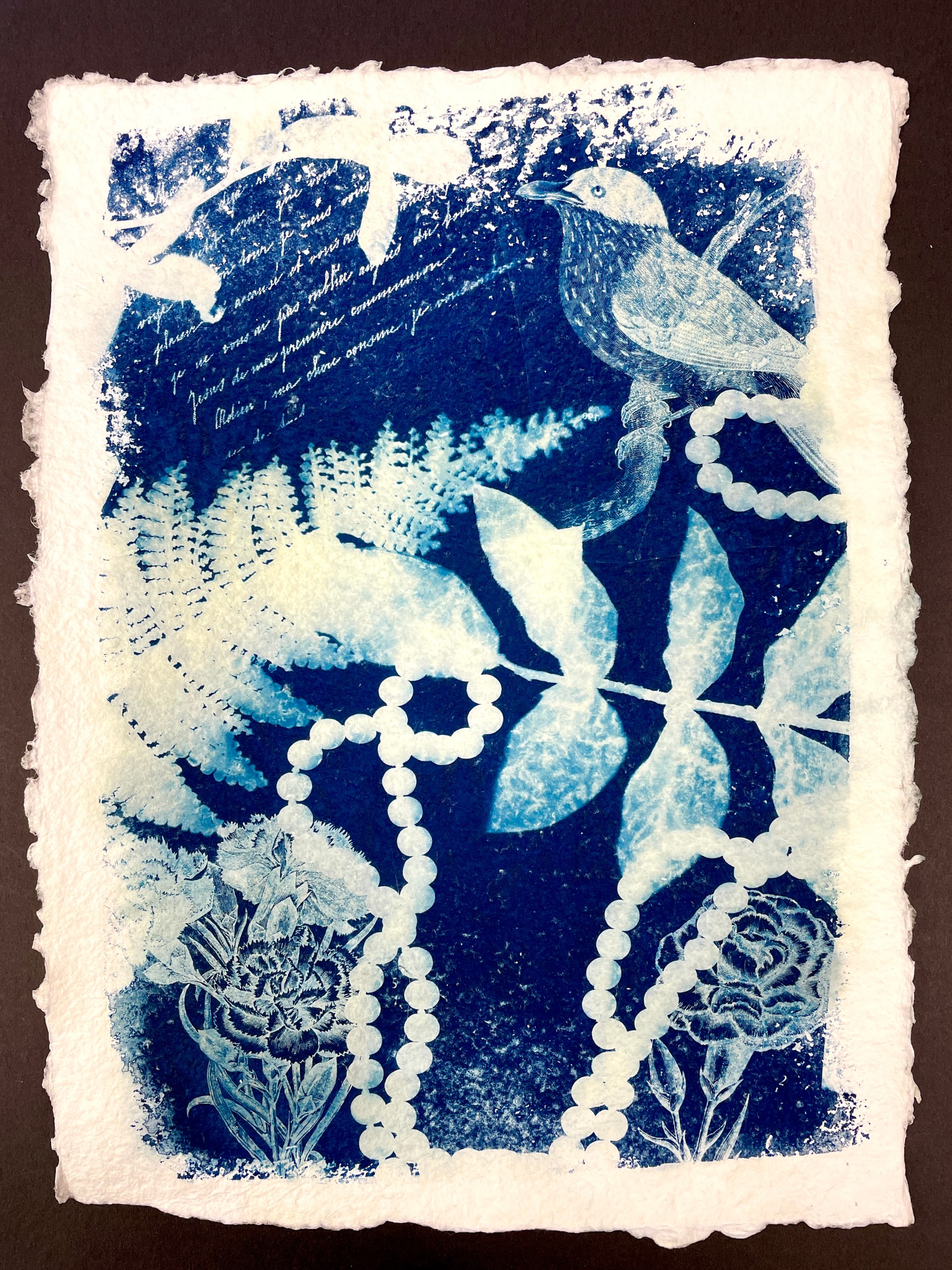Cyanotype “Sun Prints” | Ms. Amsler's Artroom