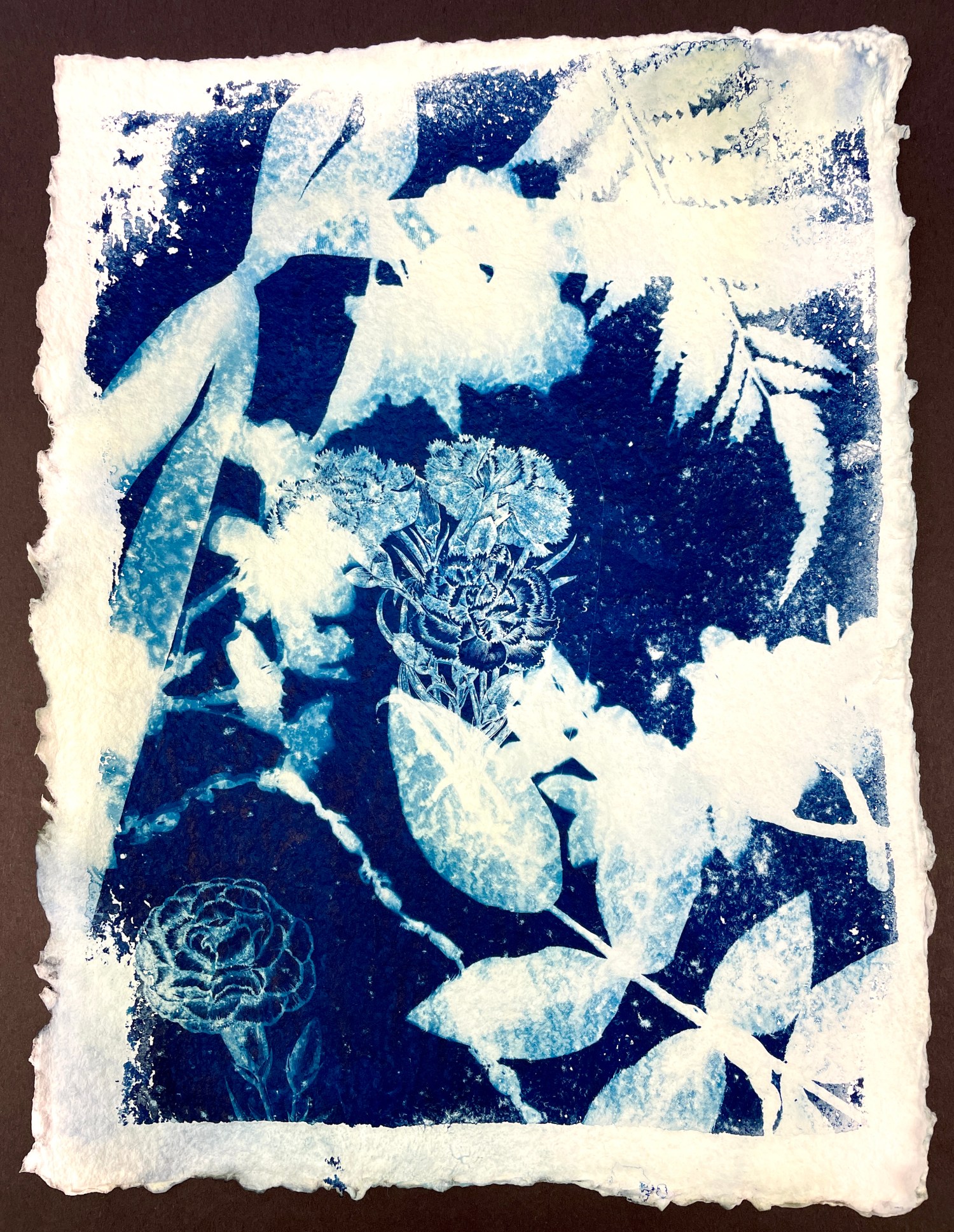 Cyanotype “Sun Prints” | Ms. Amsler's Artroom