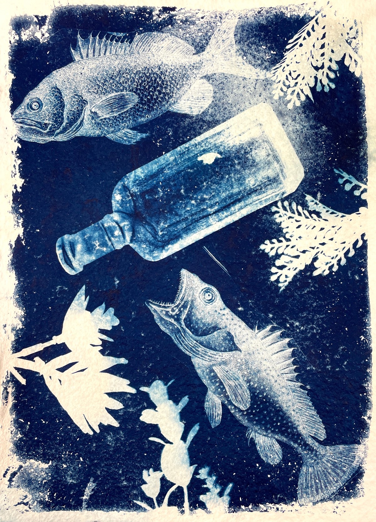 Cyanotype “Sun Prints” | Ms. Amsler's Artroom